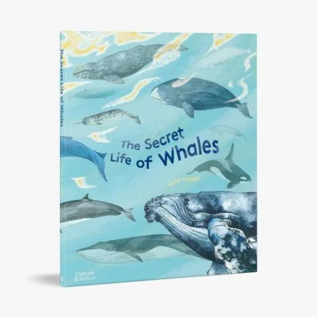 The Secret Life of Whales Book – Ikka Dukka Studio Private Limited.
