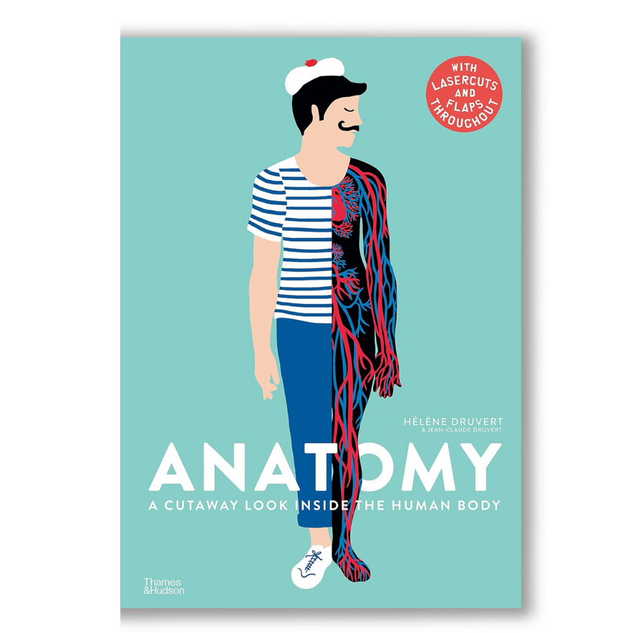 Anatomy: A Cutaway Look Inside the Human Body Book – Ikka Dukka Studio ...