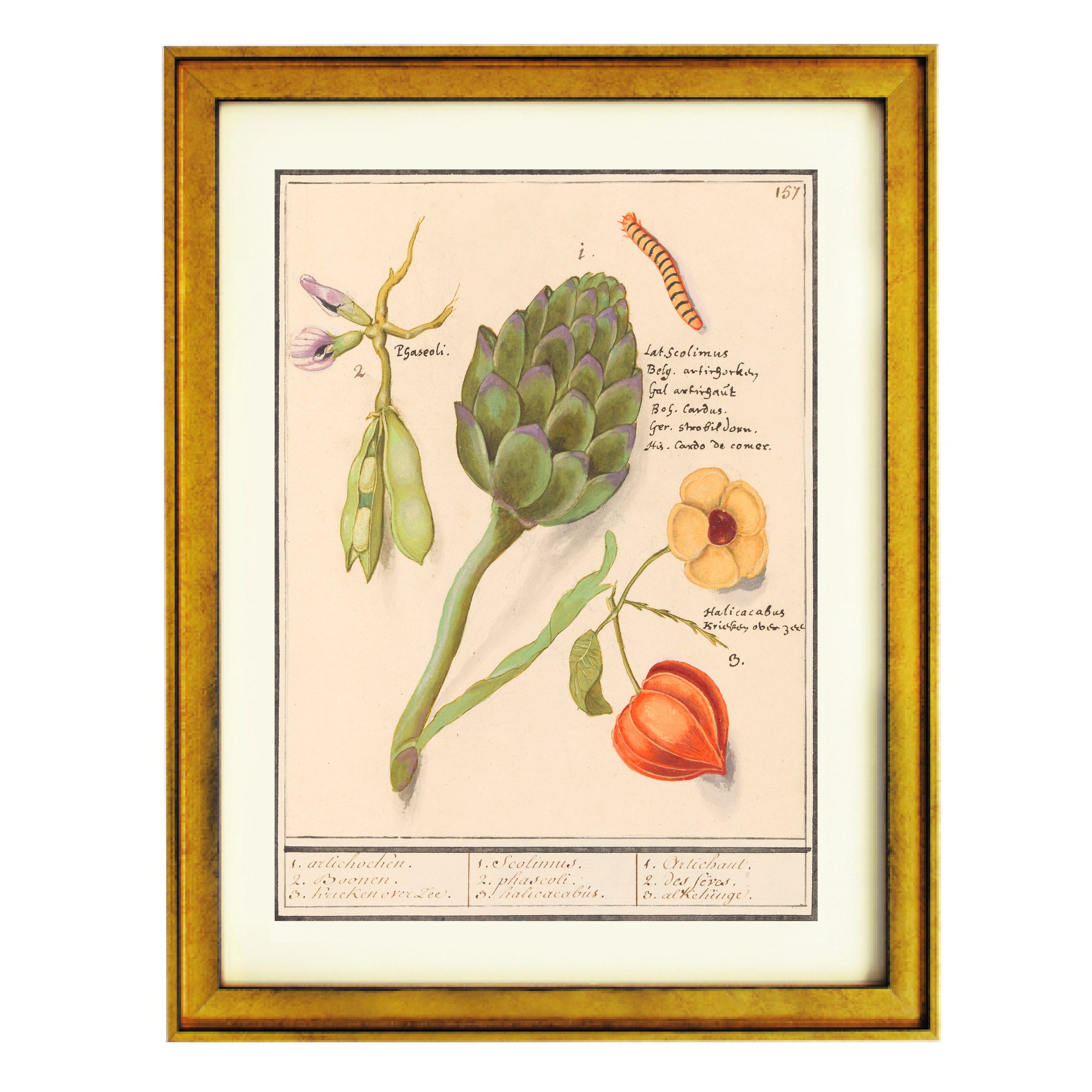 17th Century Dutch Botanical Tableau Art Print – Ikka Dukka Studio ...